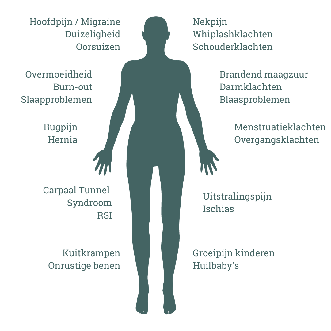 - Body Stress Release